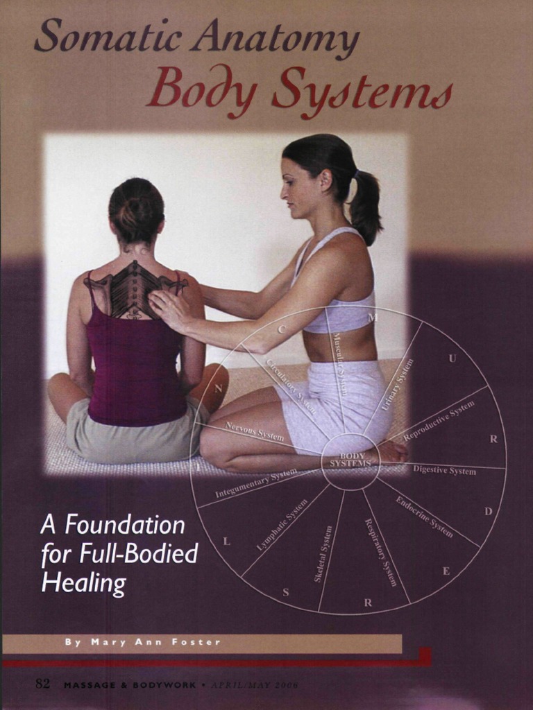 Somatic Anatomy Body Systems | PDF | Massage | Muscle