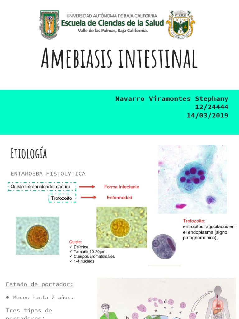 Amebiasis Intestinal | Especialidades Medicas | Medicina CLINICA