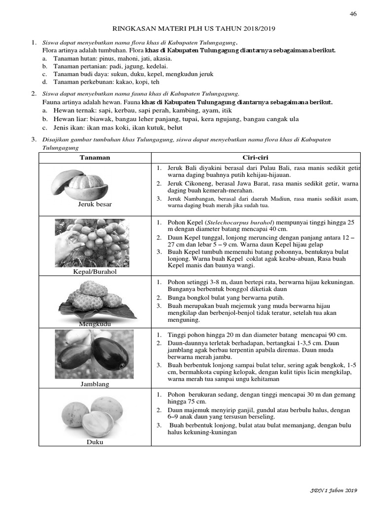 Rangkuman PLH US-SD 2019 | PDF