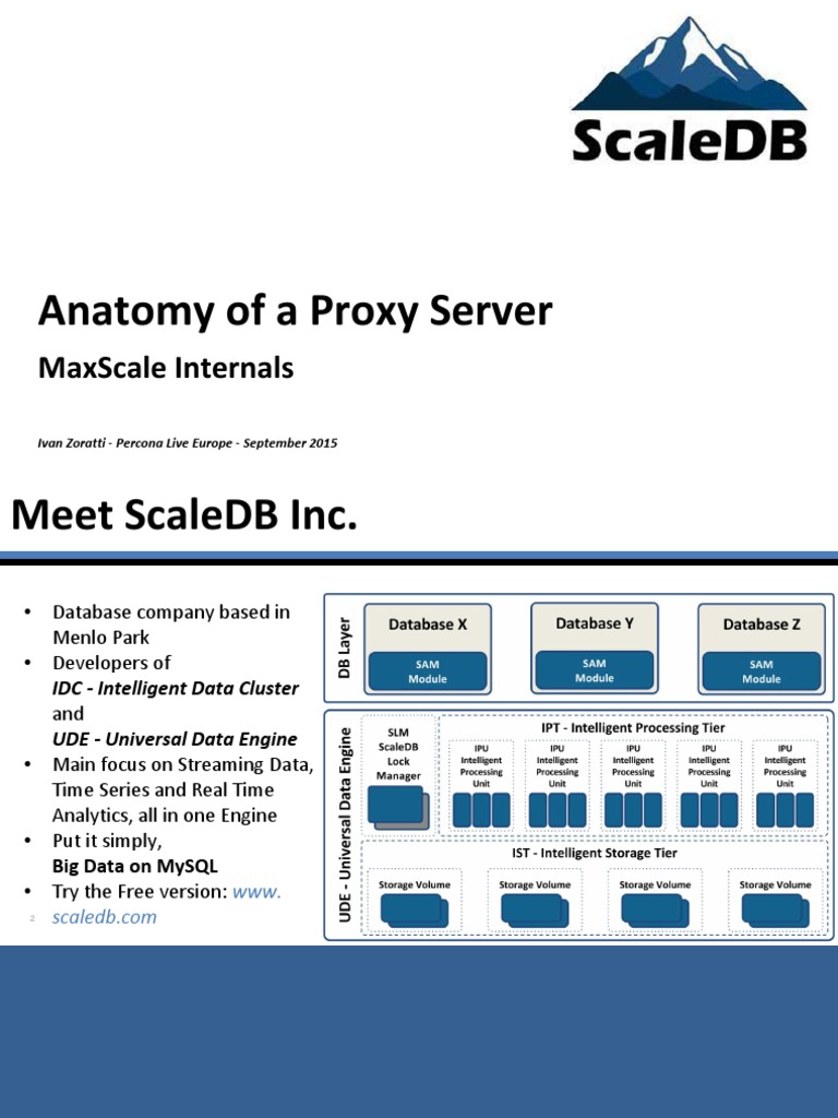 Anatomy Of A Proxy Server Pdf Proxy Server My Sql 3877