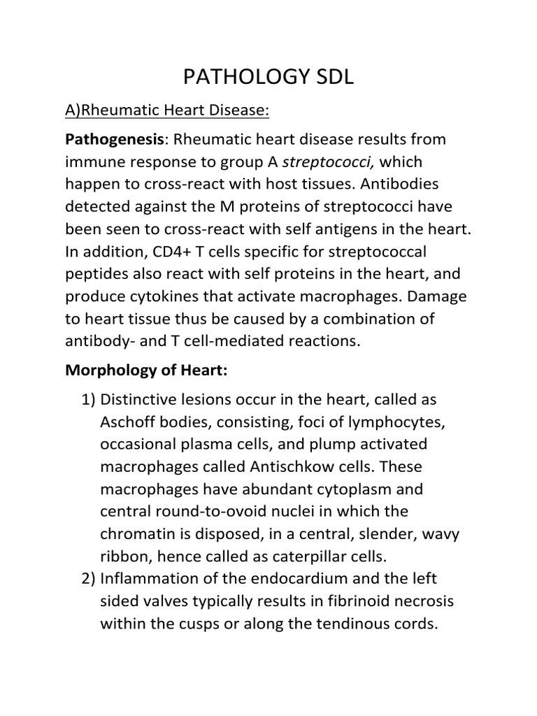 Pathology SDL: Pathogenesis: Rheumatic Heart Disease Results From | PDF