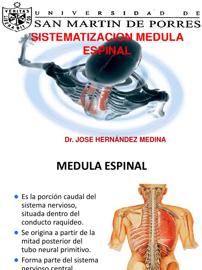 Pruebas Clinicas para Patologia Osea Articular y Muscular | PDF ...