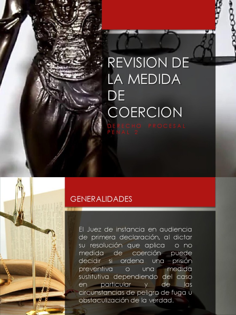 Revisión de Medidas de Coerción Penal | PDF | Apelación | Ley procesal