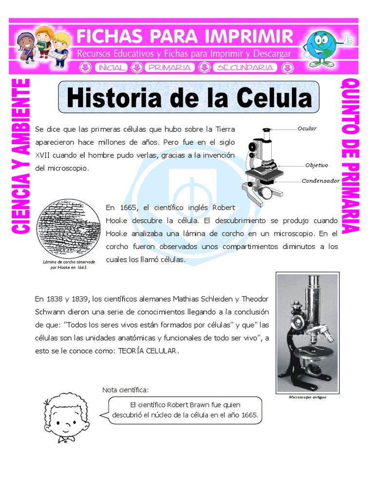 El científico Robert Brawn fue quien descubrió el núcleo de la célula ...