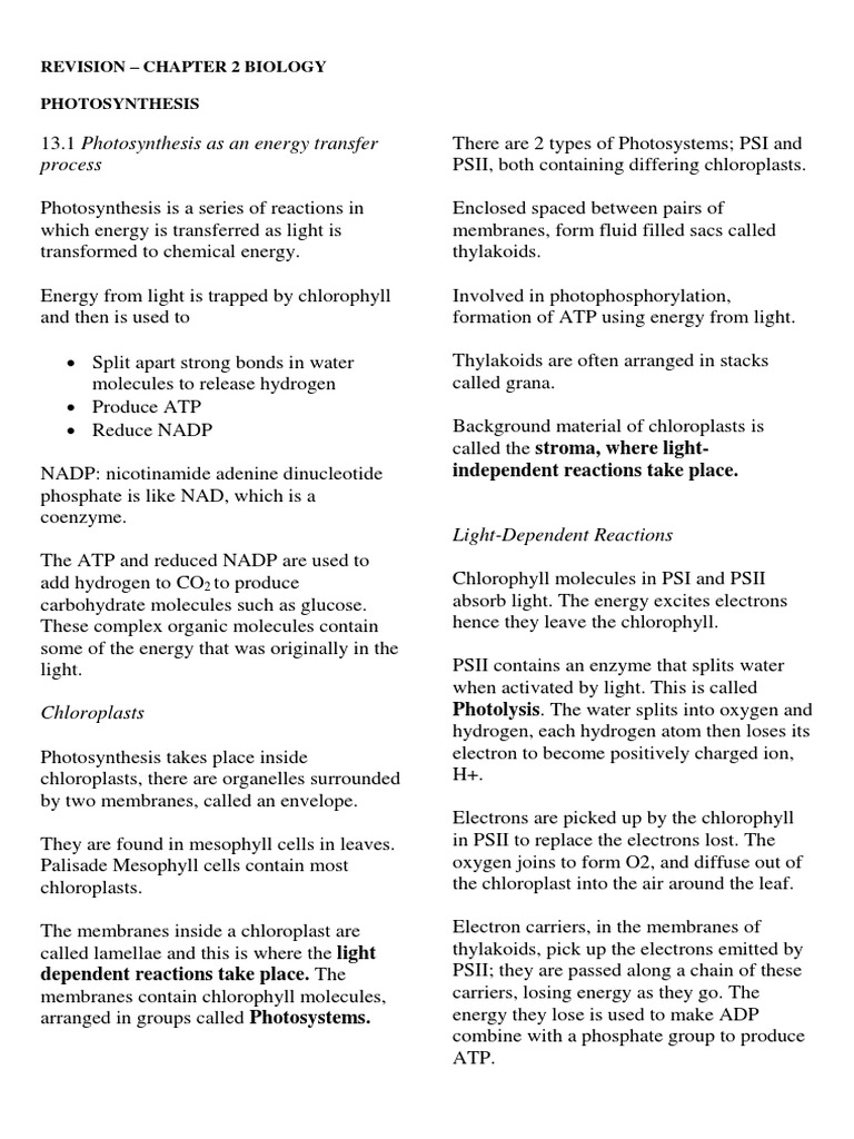 Photosynthesis 9700 Biology A-Level Revision | PDF | Photosynthesis ...