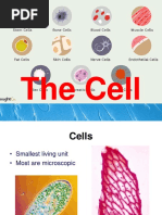 Autism: Pathways To Recovery Workbook | PDF | Single Nucleotide ...