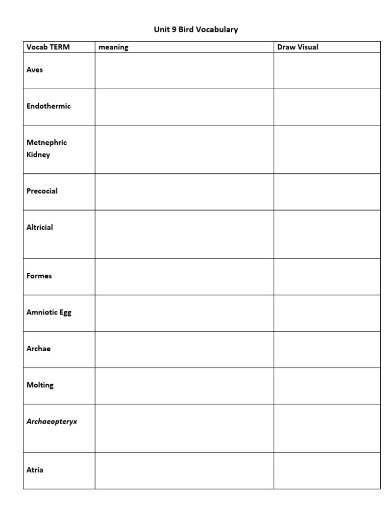 Bird Vocabulary and Concepts | PDF