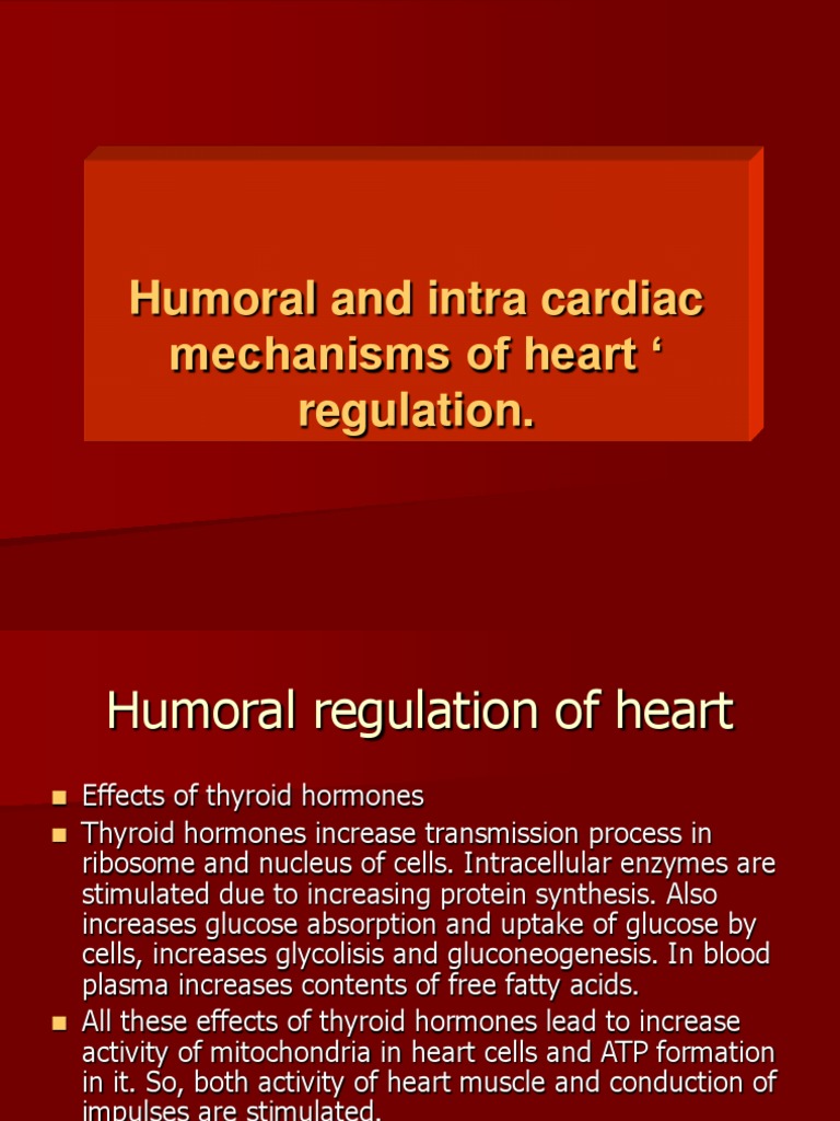 Humoral and Intra Cardiac Mechanism of Heart' Regulation | PDF | Heart ...