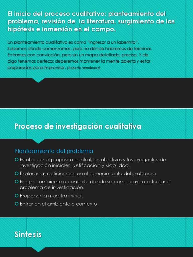 El Inicio Del Proceso Cualitativo | PDF