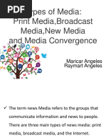 English (Research About Pubmat) | PDF