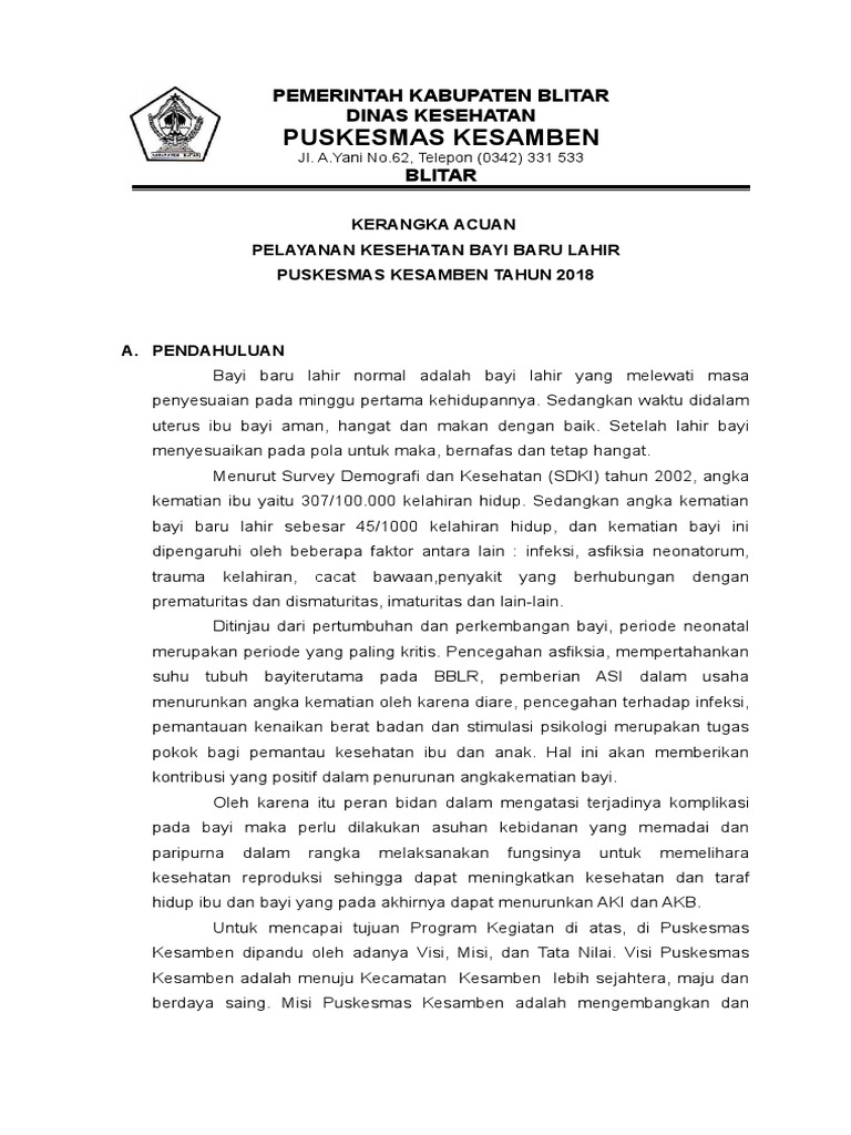 KAK UKP Perawatan Bayi Baru Lahir 2018 | PDF | Pengembangan Diri | Kesehatan Holistik