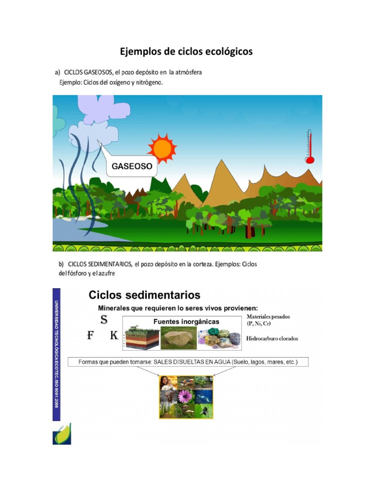Ejemplos de Ciclos Ecológicos | PDF