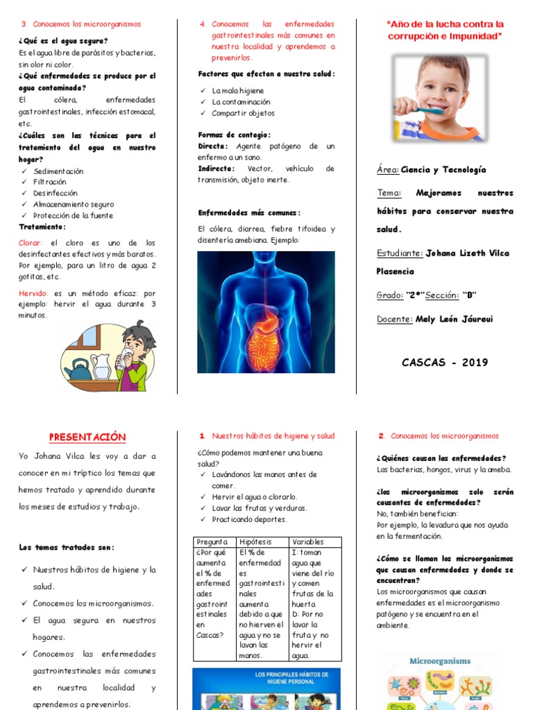 Triptico LA SALUD | PDF | Agua | Infección