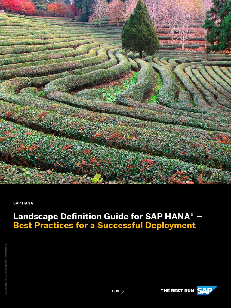 Landscape Definition Guide For SAP HANA® - : Best Practices For A Successful Deployment | PDF ...