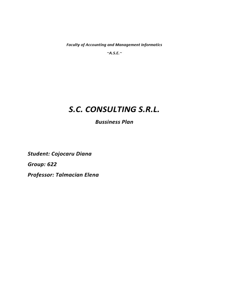 S.C. Consulting S.R.L.: Bussiness Plan | PDF | Business Plan | Marketing