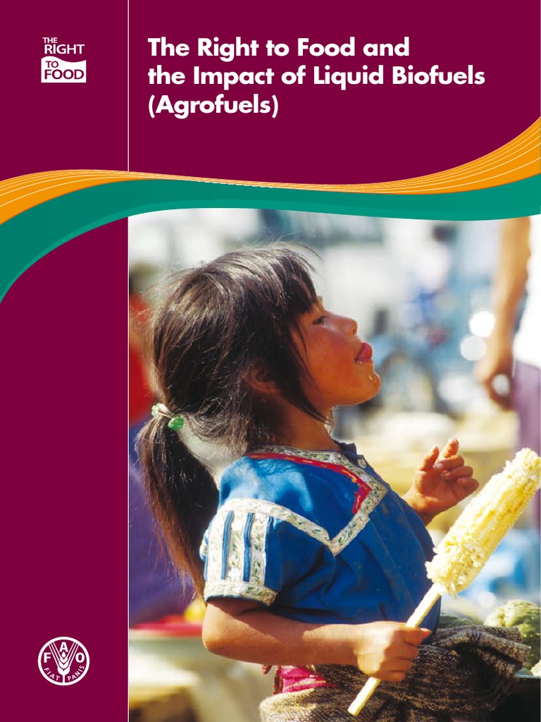 Right Food and Biofuels PDF | PDF | Biofuel | Food Security