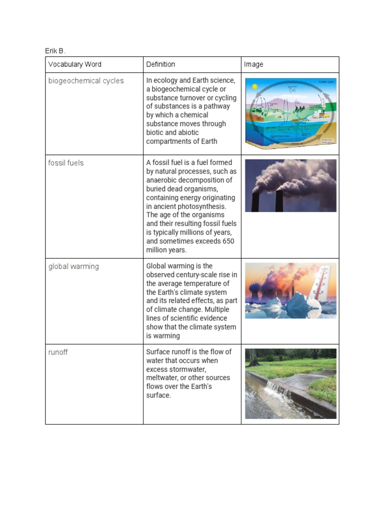 Key Environmental Vocabulary Terms | PDF | Water Cycle | Carbon Cycle