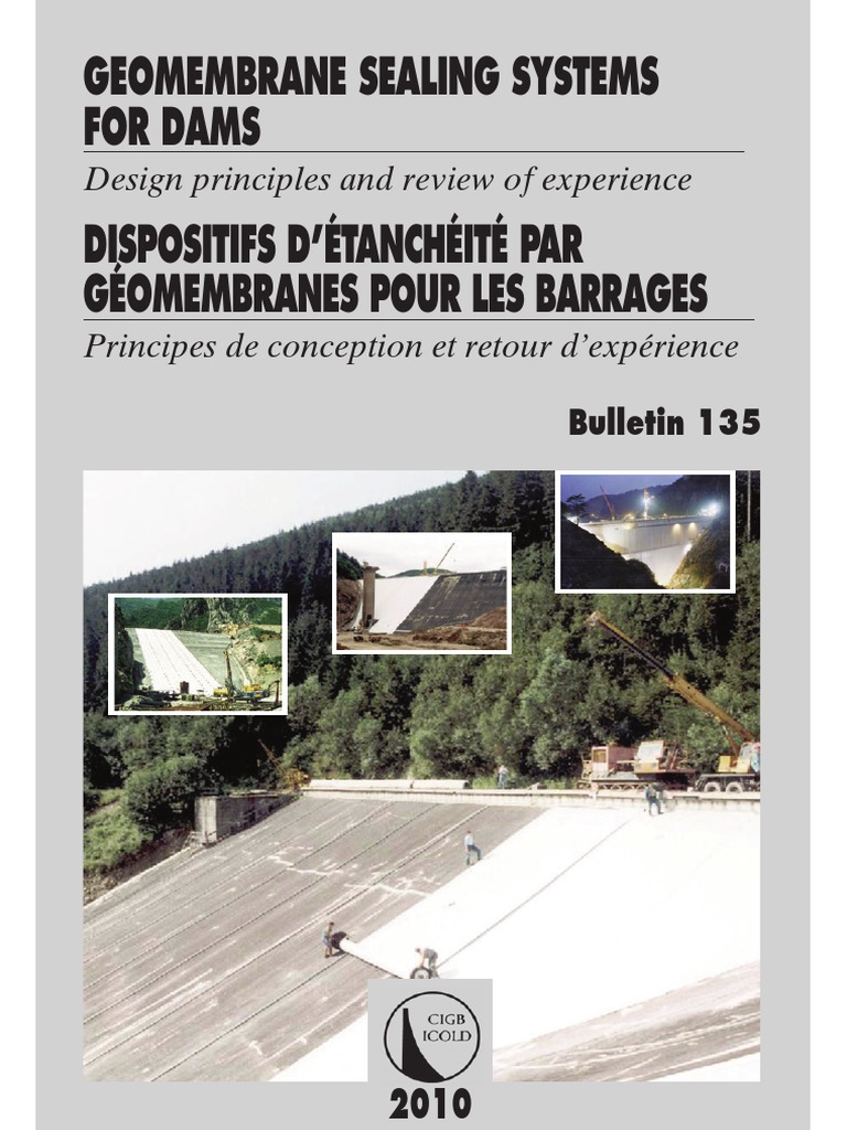International Commission On Large Dams (ICOLD) - Bulletin 135 ...