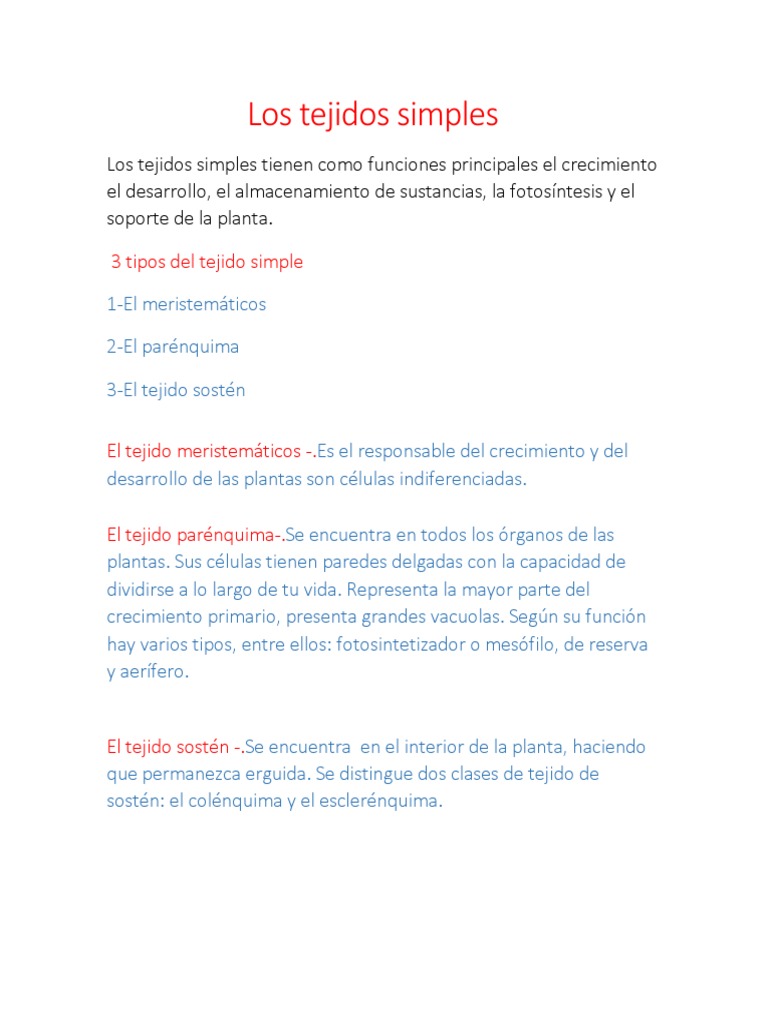 Los diferentes tipos de tejidos simples en las plantas y sus funciones ...