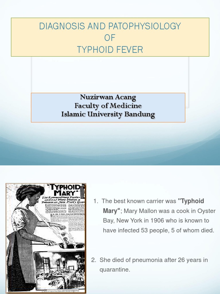 Understanding the Pathogenesis and Diagnosis of Typhoid Fever | PDF ...