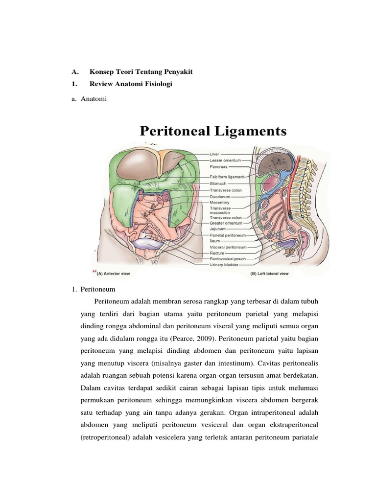 LP Peritonitis | PDF