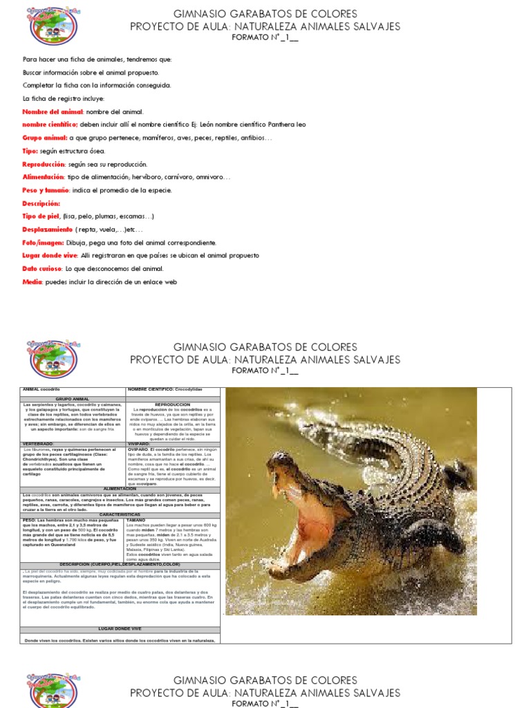 Ficha Tecnica Original 4b Proyecto Mateo | PDF | Reptil | Mamíferos