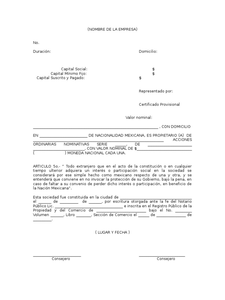 Formato de Acciones de Un Sociedad Anonima | PDF