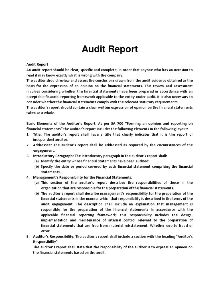 Audit_Report | Auditor's Report | Audit