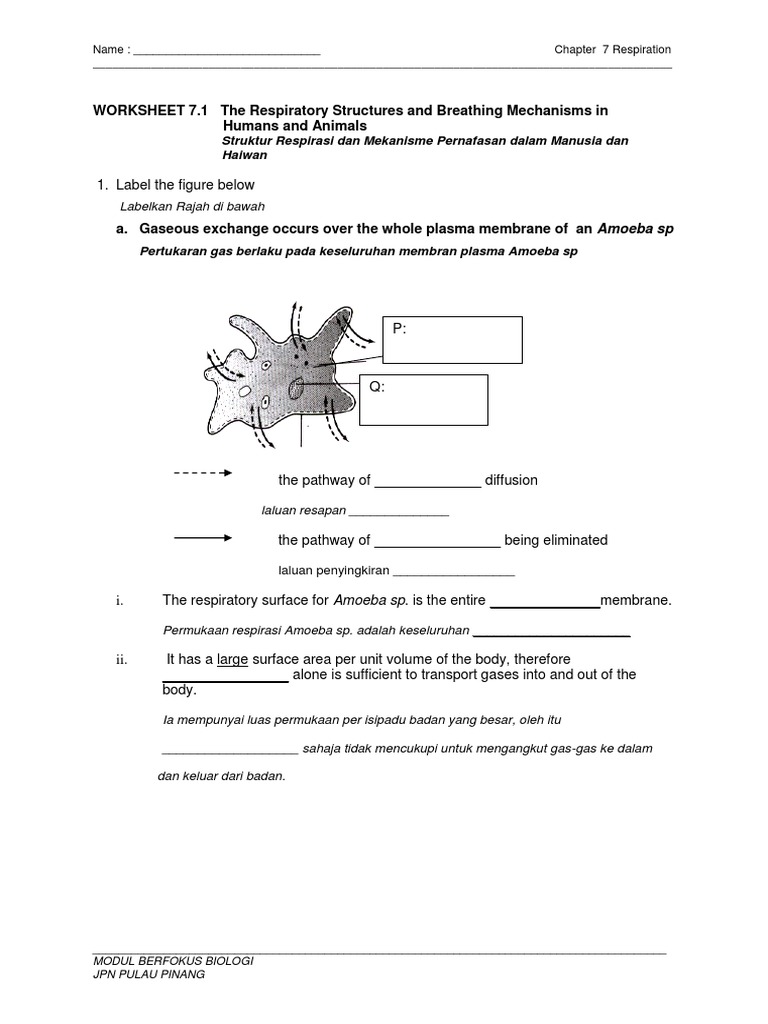 Worksheet 7.1 | PDF