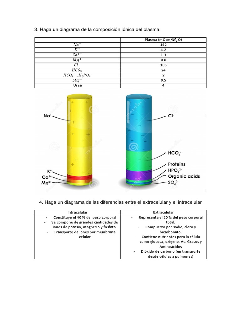 3. Haga un diagrama de la composición iónica del plasma | Sangre ...