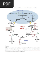 La Síntesis de La UREA | PDF | Urea | Sustancias químicas