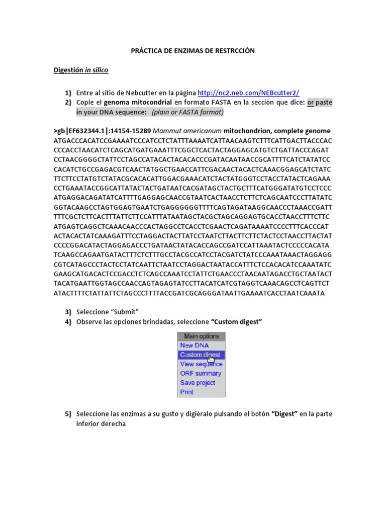 Taller Enzimas de Restricción NebCutter | PDF | Macromoléculas | Organismos