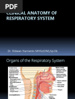 The Radiology Assistant - Lung Segments and Bronchi | PDF | Lung ...