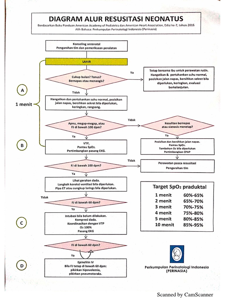 Resusitasi Neonatus | PDF