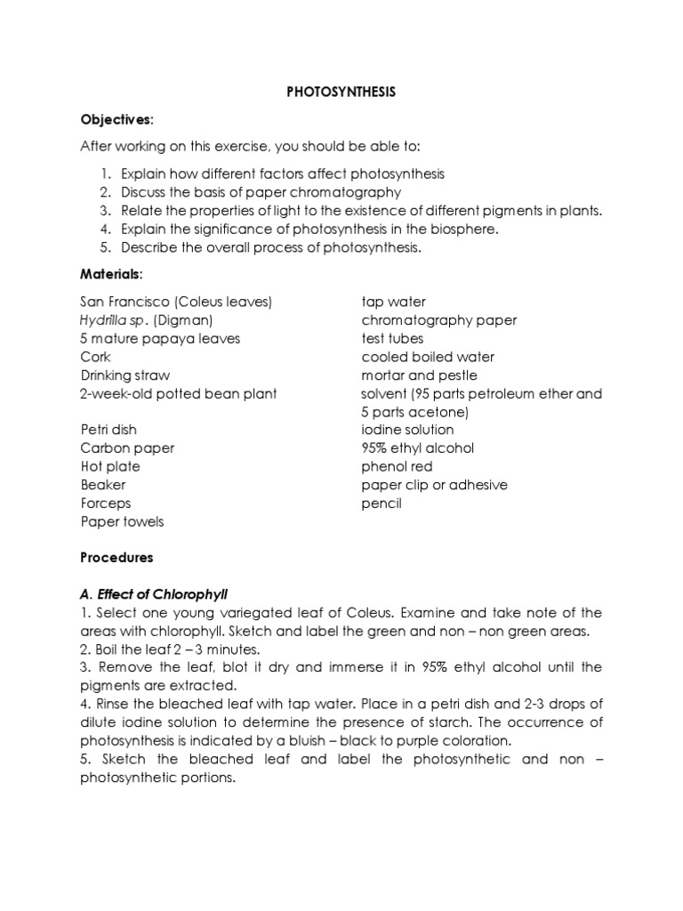 PHOTOSYNTHESIS Lab Activity | PDF | Photosynthesis | Chromatography