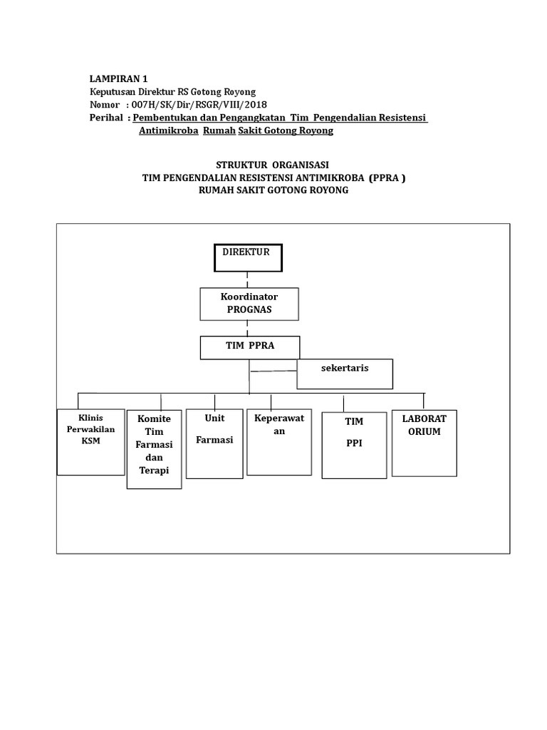 Lampiran SK Tim Ppra RSGR Benar 1 | PDF