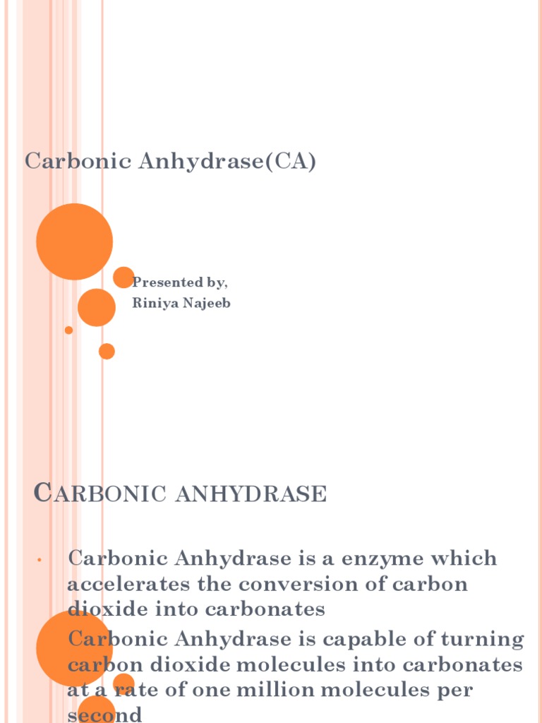 Carbonic Anhydrase (CA) Pinki.. | PDF | Chemical Reactions | Enzyme