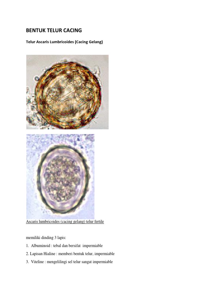 Bentuk Telur Cacing | PDF | Sains & Matematika