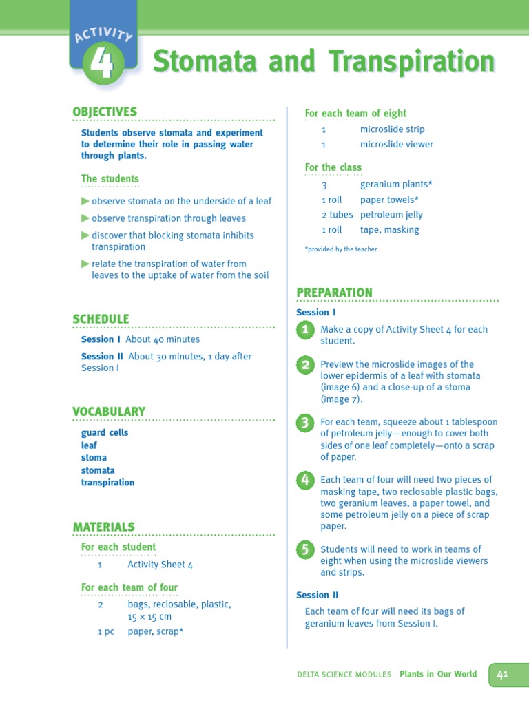 Understanding How Stomata and Transpiration Work Through Observation ...