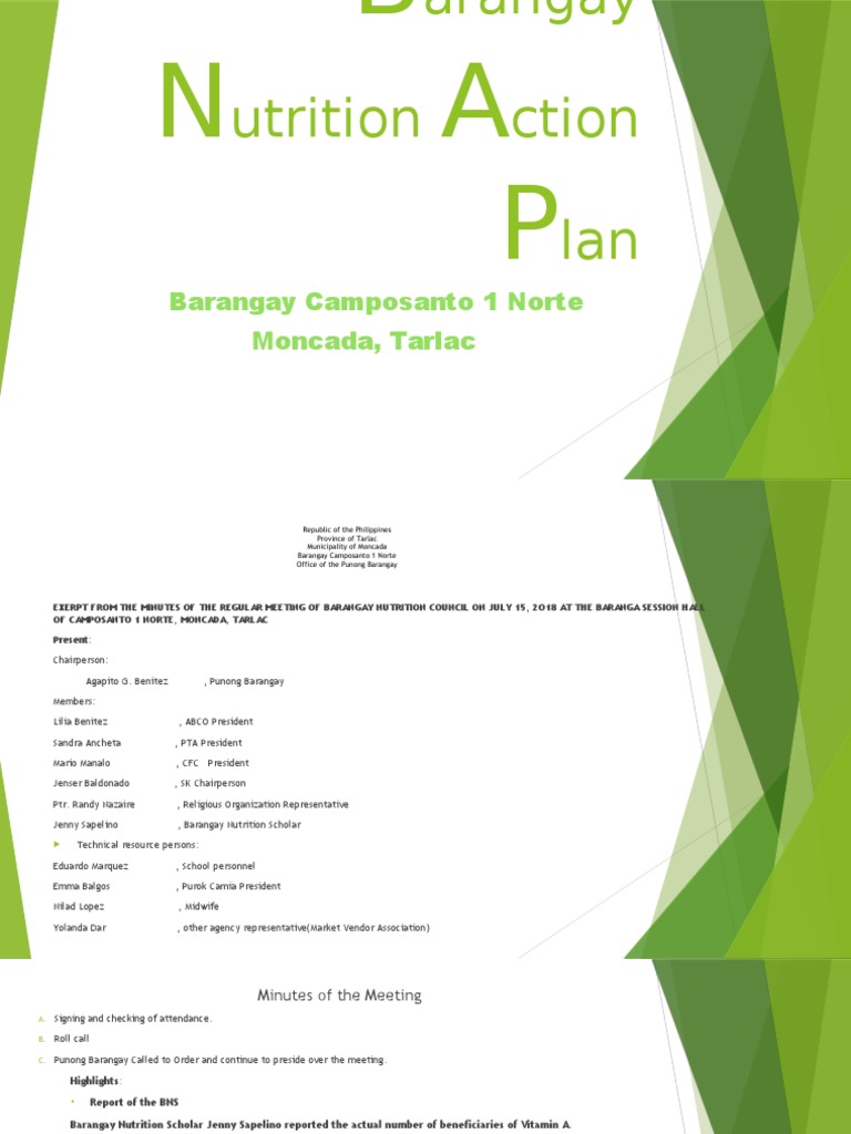 Barangay Nutrition Action Plan | PDF