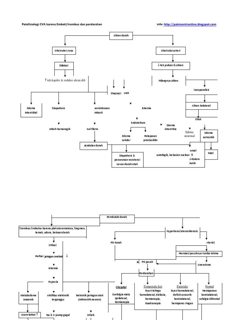 (PDF) Patofisiologi CVA Emboli Dan Perdarahan | PDF