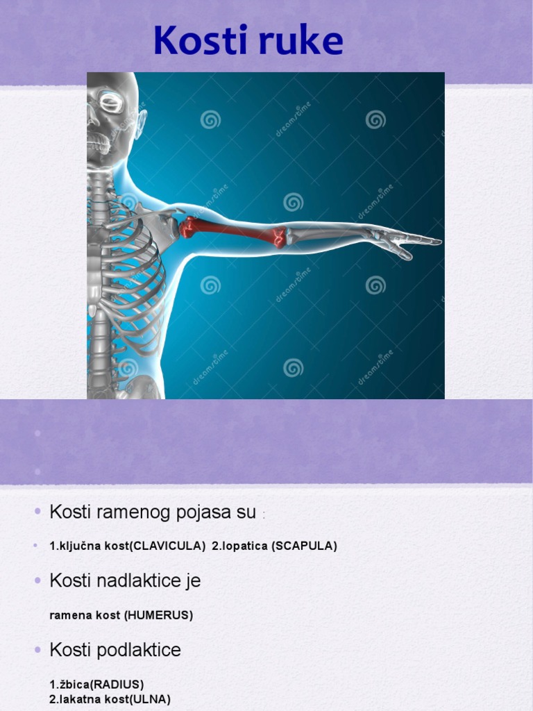KOsti Ruke PDF | PDF