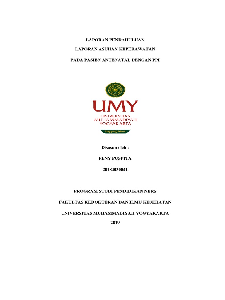 LP Ppi | PDF | Pengembangan Diri | Kesehatan Holistik