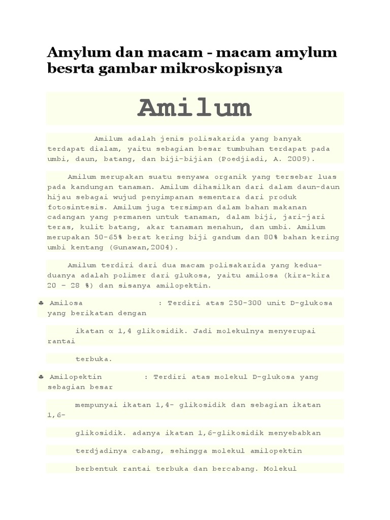 Amylum | PDF