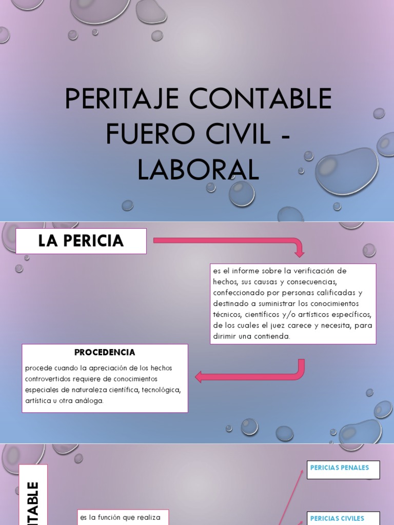 Peritaje Contable Fuero Civil - Laboral | PDF | Contabilidad | Gobierno