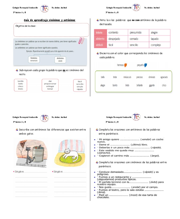 Guía de Aprendizaje Sinónimos y Antónimos | PDF