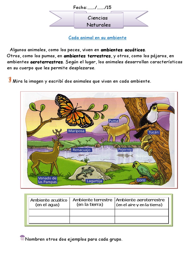 Unidad de Animales | PDF | Ala | Aves