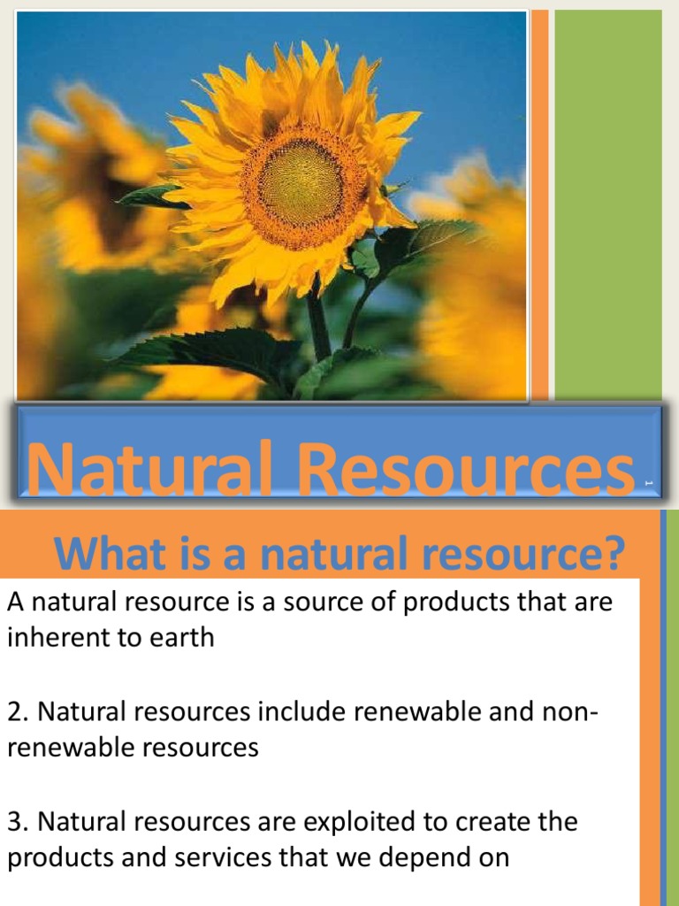 Overview of Natural Resources | PDF