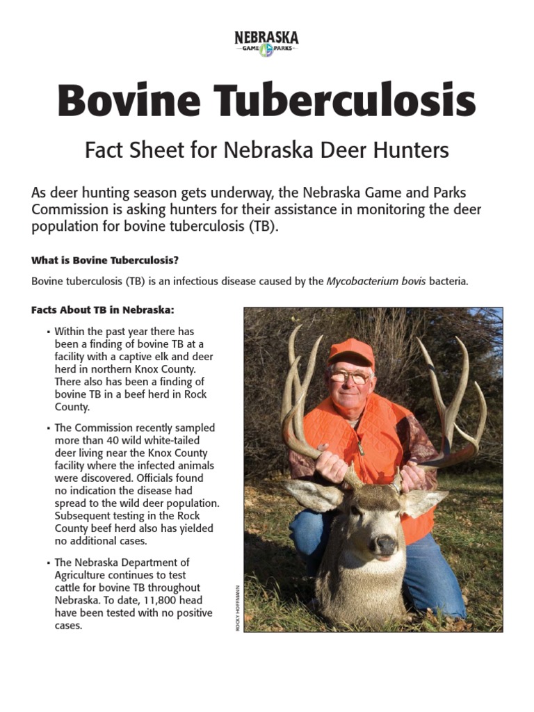 Bovine Tuberculosis Fact Sheet For Nebraska Deer Hunters | PDF ...