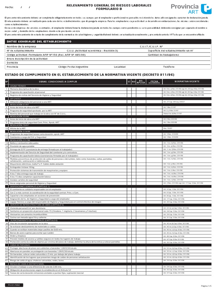 Formulario Decreto 911/96 | PDF | Ascensor | Máquina elevadora